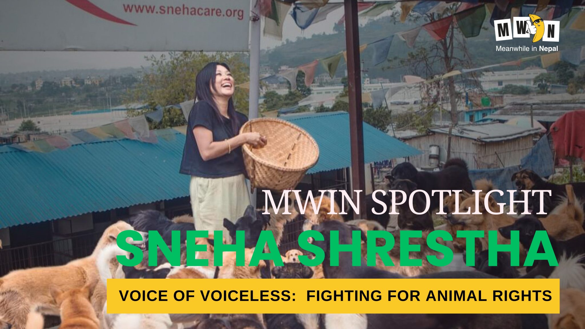 Voices for the Voiceless: Sneha Shrestha Reflects on Her Path as Nepal's Notable Animal Rights ...